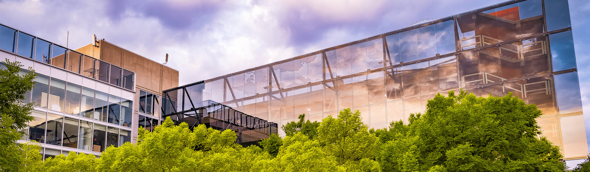 Careers - SeamonWhiteside